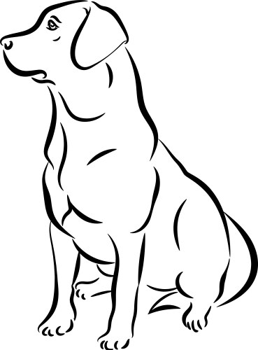 Dog labrador Royalty Free Vector Image - VectorStock