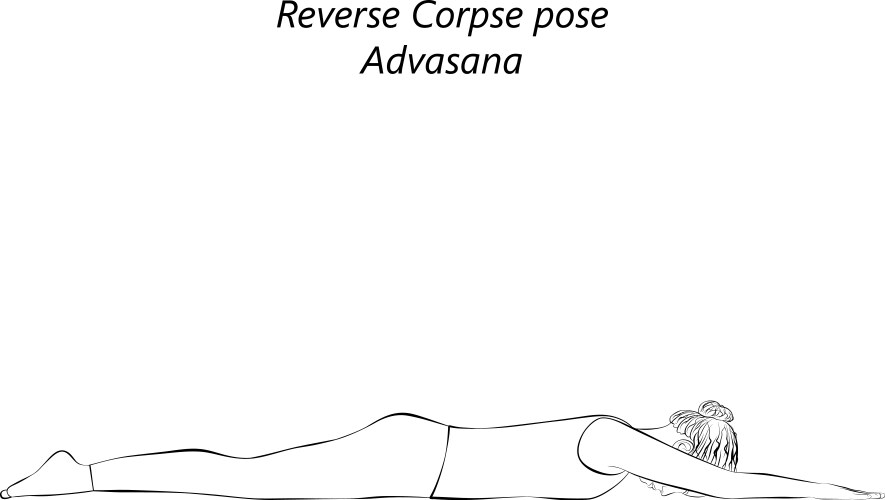 Reverse corpse with arms on sides pose advasana Vector Image