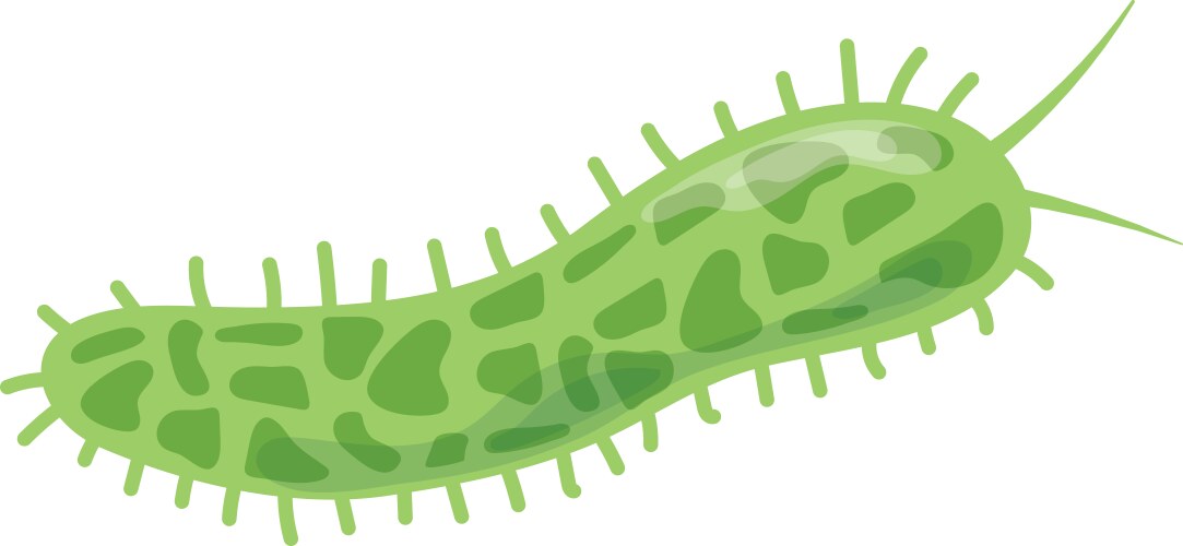 Virus and bacteria difference in structure Vector Image