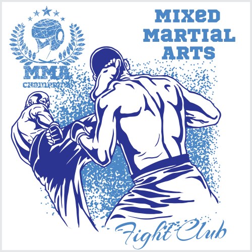 Martial Arts Combat Poster Royalty Free Vector Image