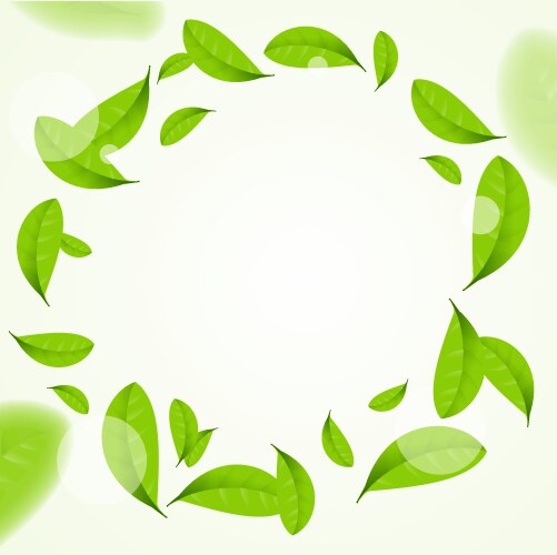 Leaves Circle Vector Images (over 40,000)