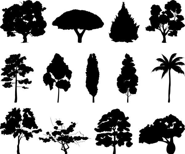 Different types of road signs monochrome icons Vector Image