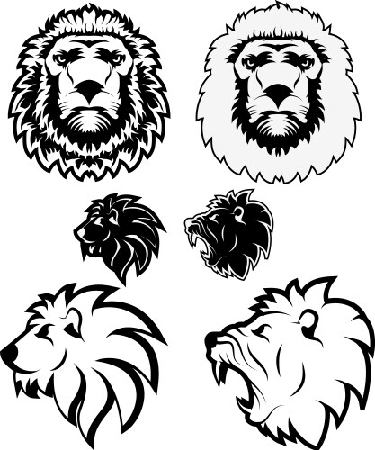 Lion Vector Images (over 99,000)