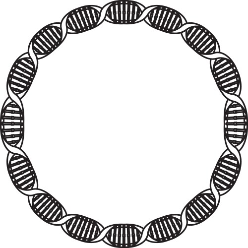 Circular dna chain science icon Royalty Free Vector Image