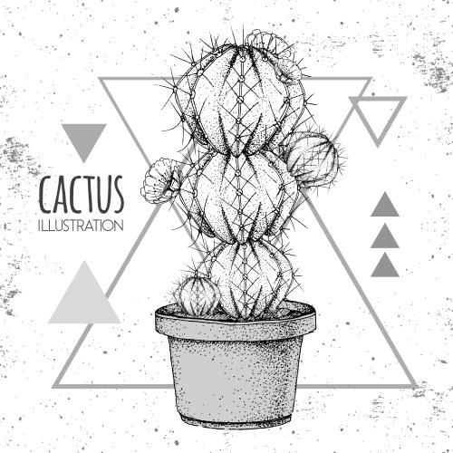 Hand drawing cactus Royalty Free Vector Image - VectorStock