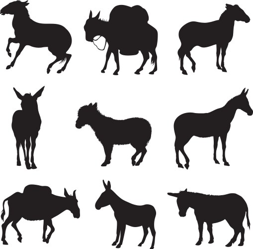 Donkey Black and White Vector Images (over 5,900)
