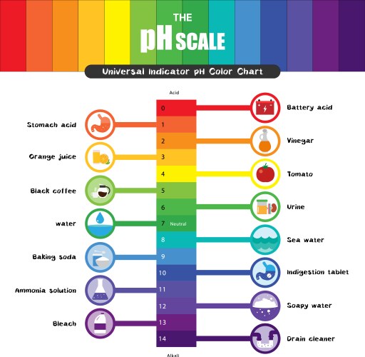 Ph scale universal indicator test strips Vector Image