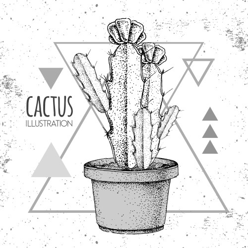 Cactus plants texture seamless pattern background Vector Image