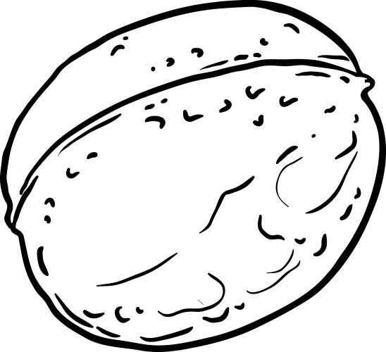 Walnut isolated outline Royalty Free Vector Image