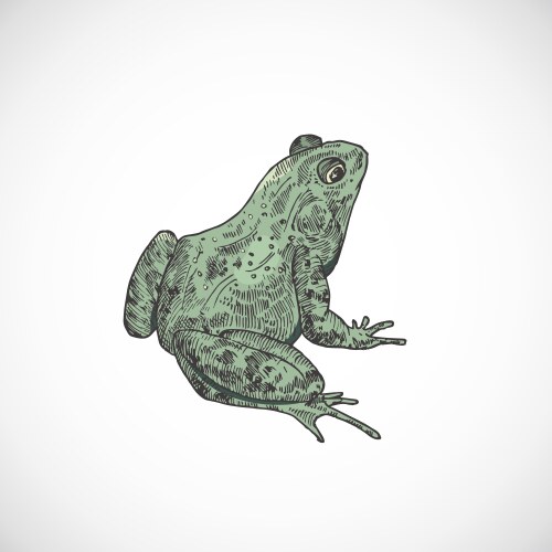 Evil Frog Vector Images (over 180)