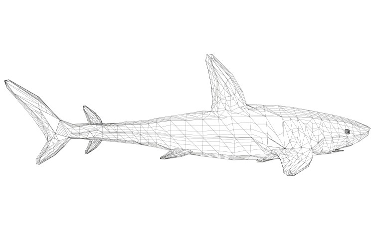 Shark Side View Vector Images (over 130)