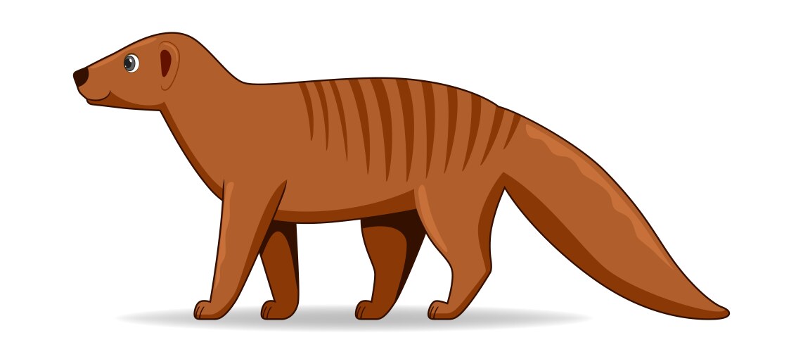 Mongoose Vector Images (over 720)