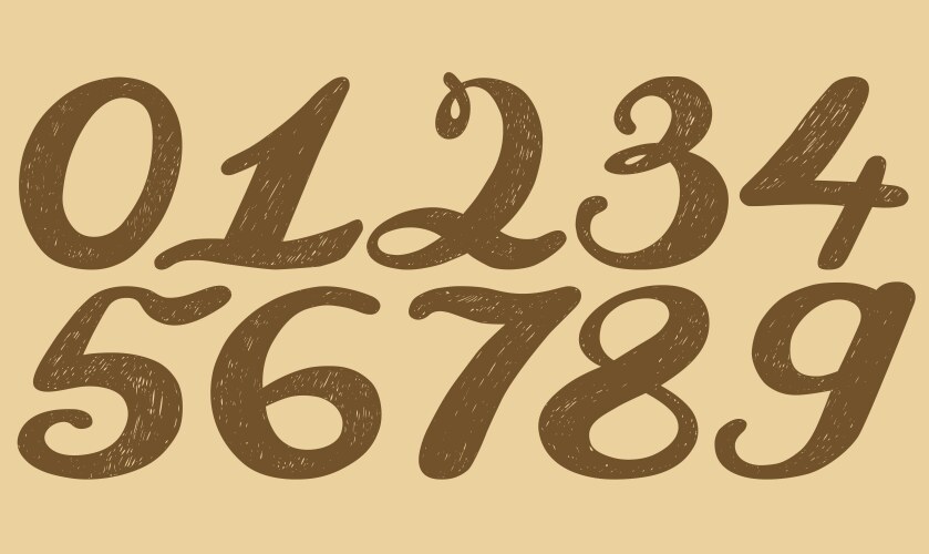 Numbers set in hand drawn calligraphy style Vector Image