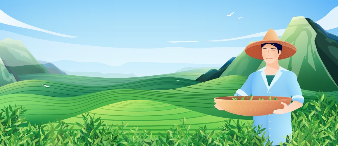 Cartoon color tea plantation landscape scene Vector Image