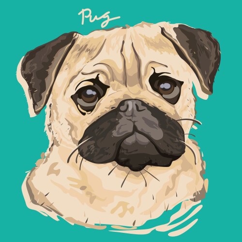 Pug Vector Images (over 11,000)