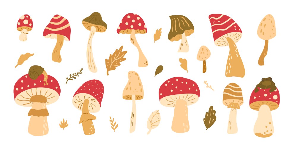 Toadstool Vector Images (over 10,000)