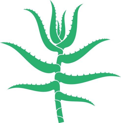 Bush aloe vera Royalty Free Vector Image - VectorStock