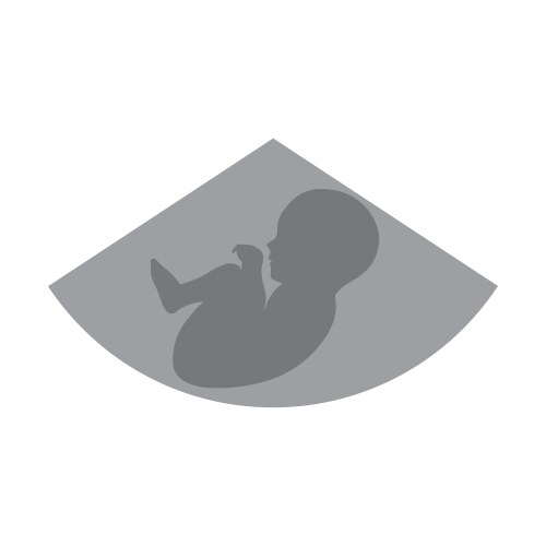 Echo Chamber Vector Images (10)