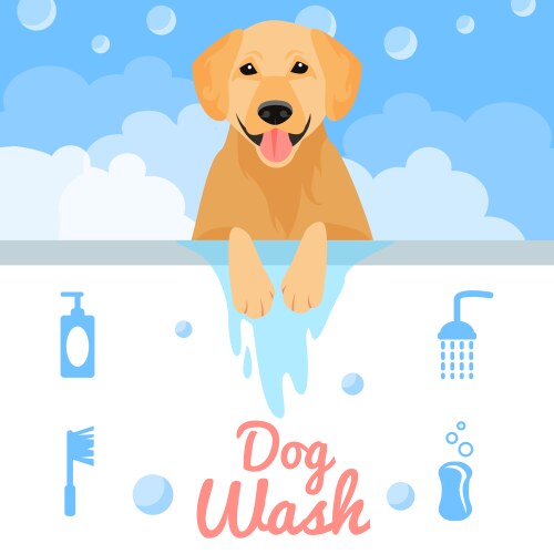 Wash your hands poster design with boy washing Vector Image
