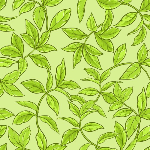 Nettle tea Royalty Free Vector Image - VectorStock