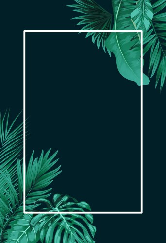 Forest Frame Vector Images (over 44,000)