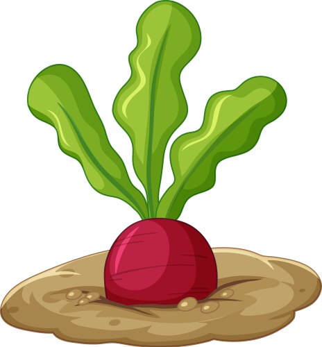 Carrot root in soil cartoon style isolated Vector Image