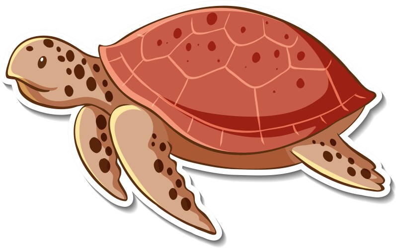 Fun zoo turtle Royalty Free Vector Image - VectorStock