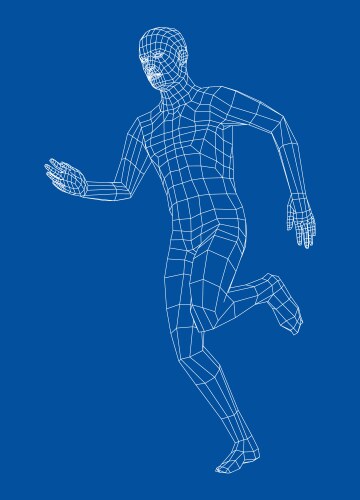 Wireframe lined shapes perspective mesh 3d grid Vector Image