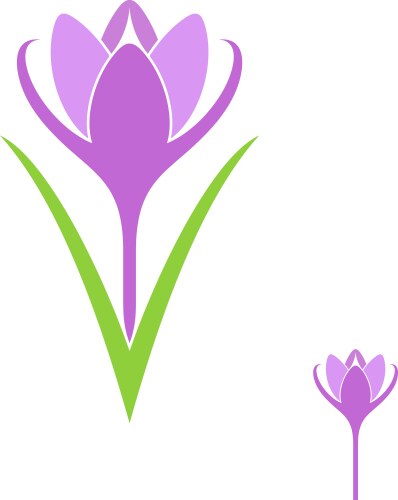 Crocus flower floral icon realistic cartoon cute Vector Image
