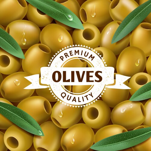 Green olive label with realistic branch Royalty Free Vector