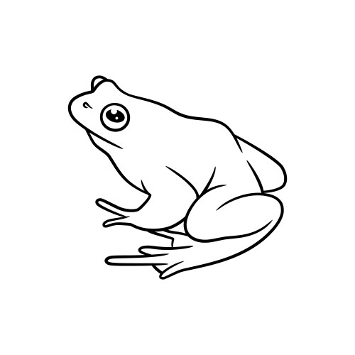 Frog line art drawing Royalty Free Vector Image