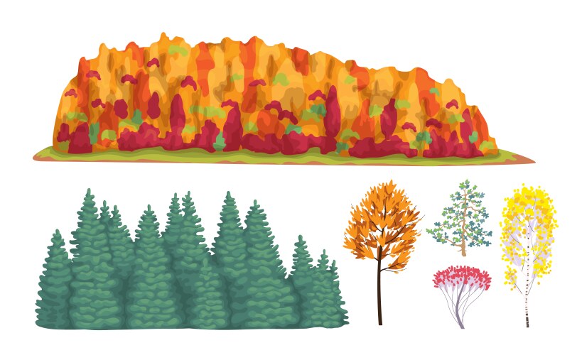 Coniferous spruce forest clipart isolated Vector Image