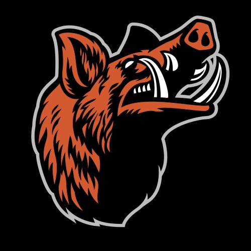 Angry racoon mascot set Royalty Free Vector Image