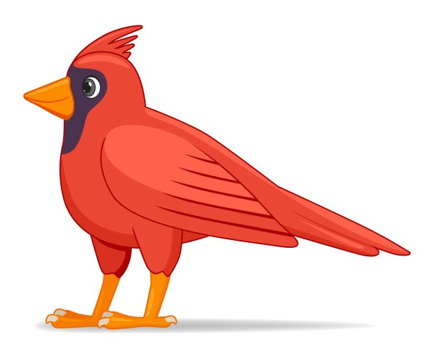 Cardinal Vector Images (over 4,600)