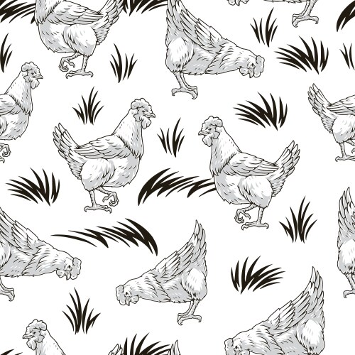 Chickens Vector Images (over 210,000)