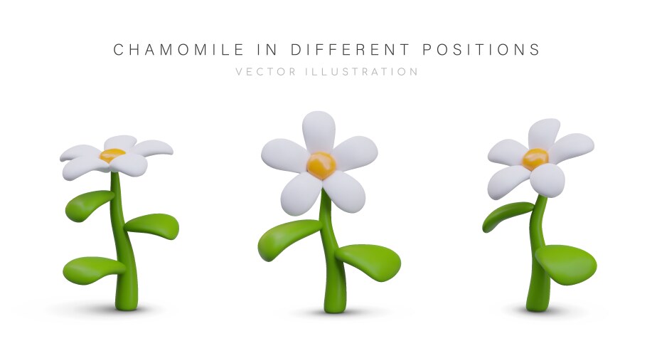 3d tulip in different positions spring Royalty Free Vector