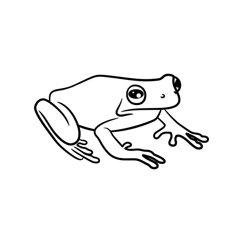 Frog line art drawing Royalty Free Vector Image