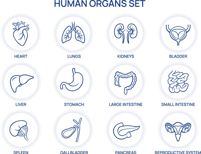 Internal Vector Images (over 550,000)