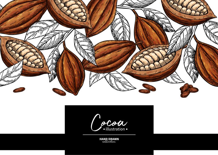 Cocoa frame superfood drawing template Royalty Free Vector