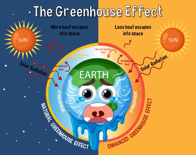 Diagram showing the greenhouse effect Royalty Free Vector