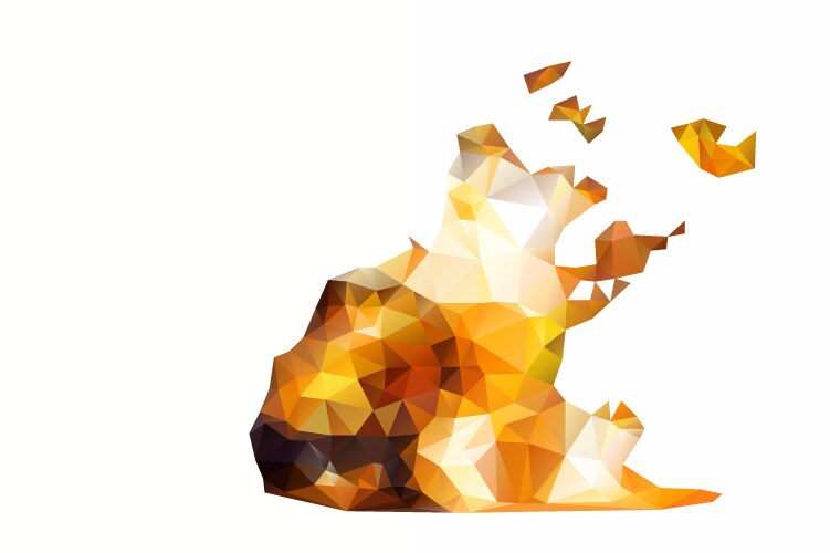 Geometric Fire Vector Images (over 12,000)