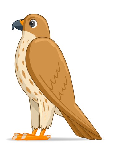 Falcon Cartoon Vector Images (over 5,900)