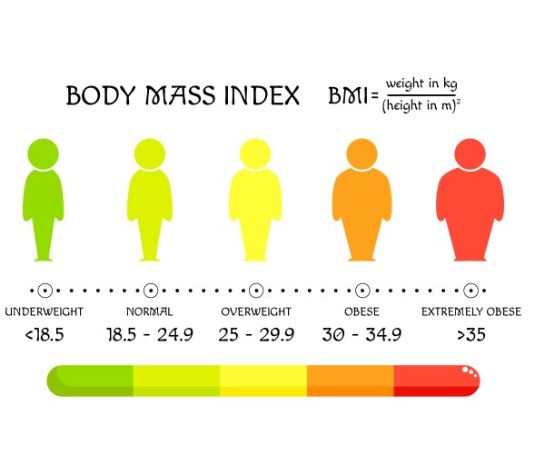 Man bmi body mass index infographics for male Vector Image
