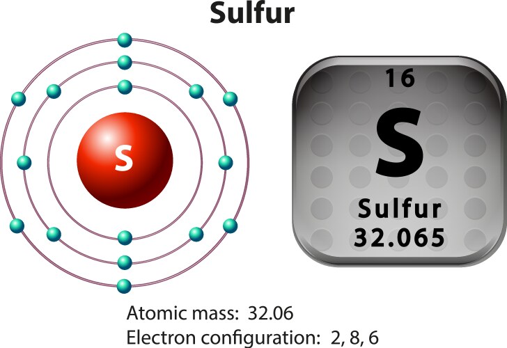 Periodic table element sulfur Royalty Free Vector Image
