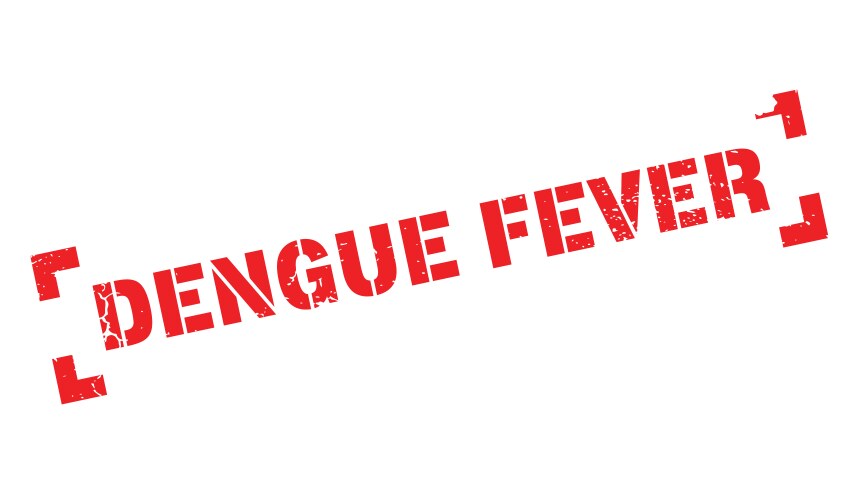Dengue Vector Images (over 3,900)
