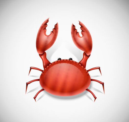 Crab Vector Images (over 41,000)