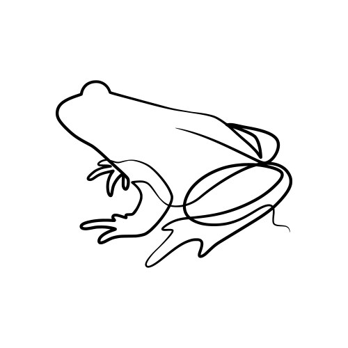 Frog line art drawing Royalty Free Vector Image