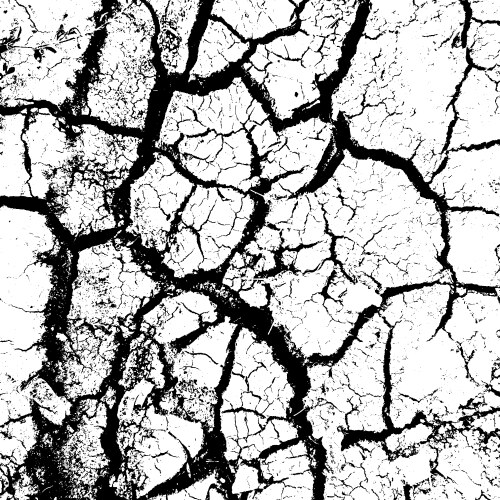 Crackle texture Royalty Free Vector Image - VectorStock