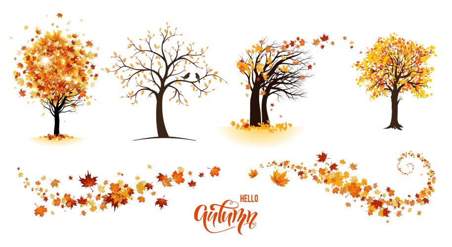 Fallen leaves Royalty Free Vector Image - VectorStock