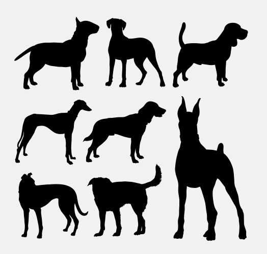 Cute black tiger silhouette Royalty Free Vector Image